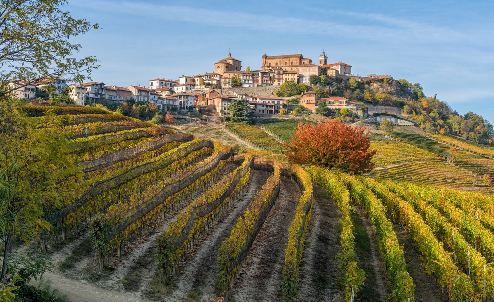 Il Barolo - AIS Piemonte
